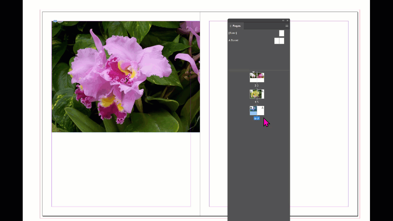 How to Set Up Bleed Area in InDesign for A5 Book L... - Adobe Product ...