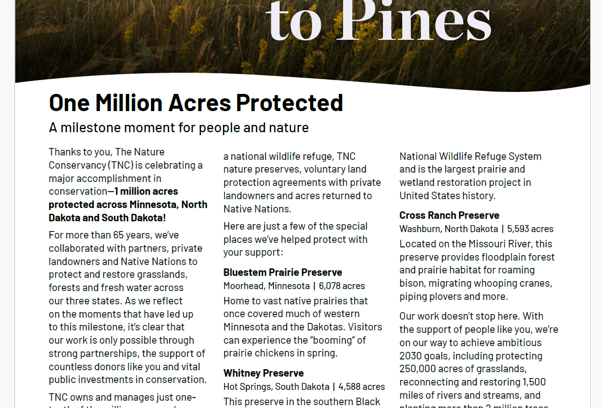 Font looks bold after exporting - Adobe Product Community - 15287851