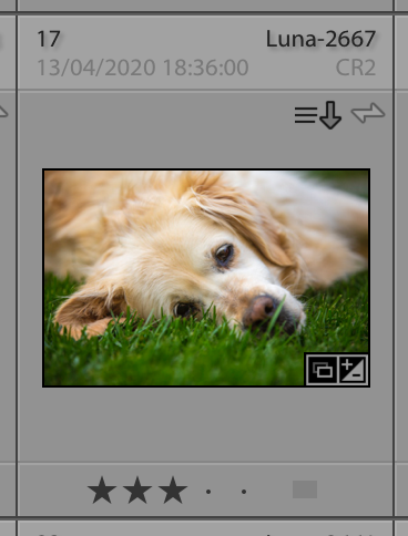 How to Unsynchronized photos view - Adobe Product Community - 11058975