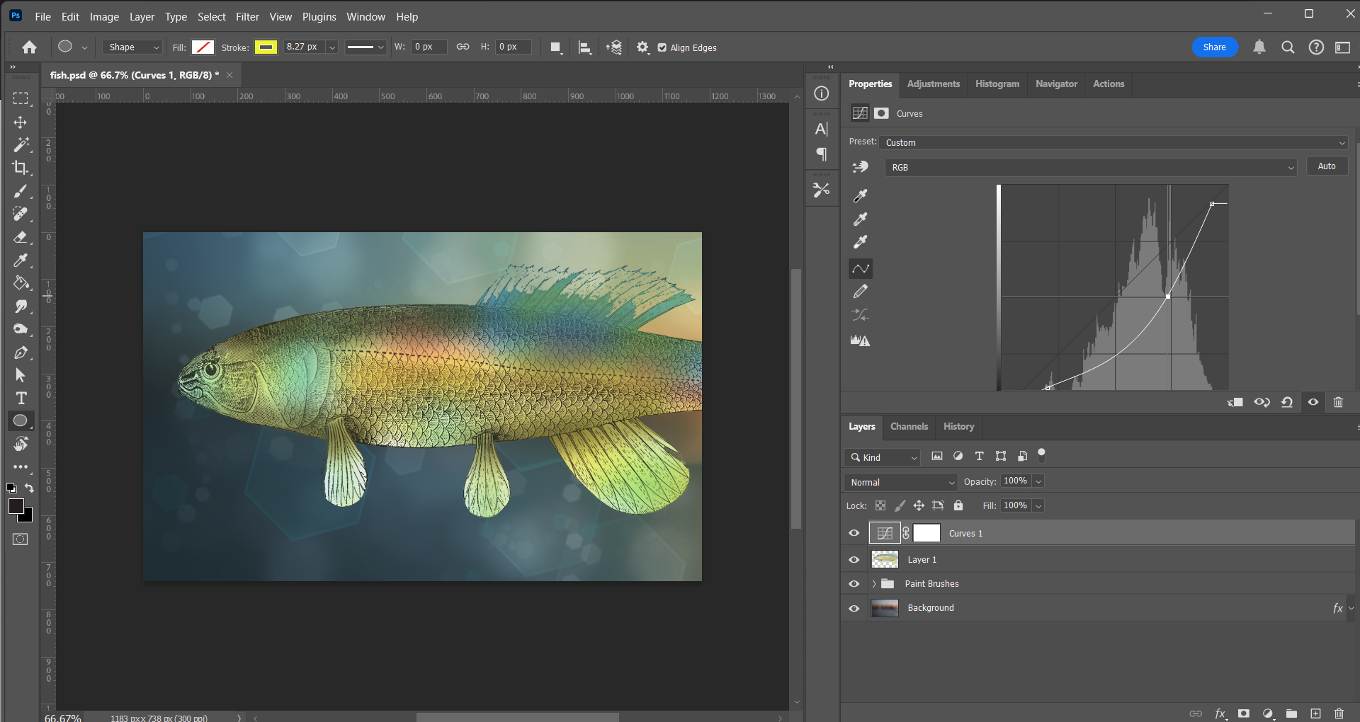 How to Properly Check Photo Quality Before Uploadi... - Adobe Product ...
