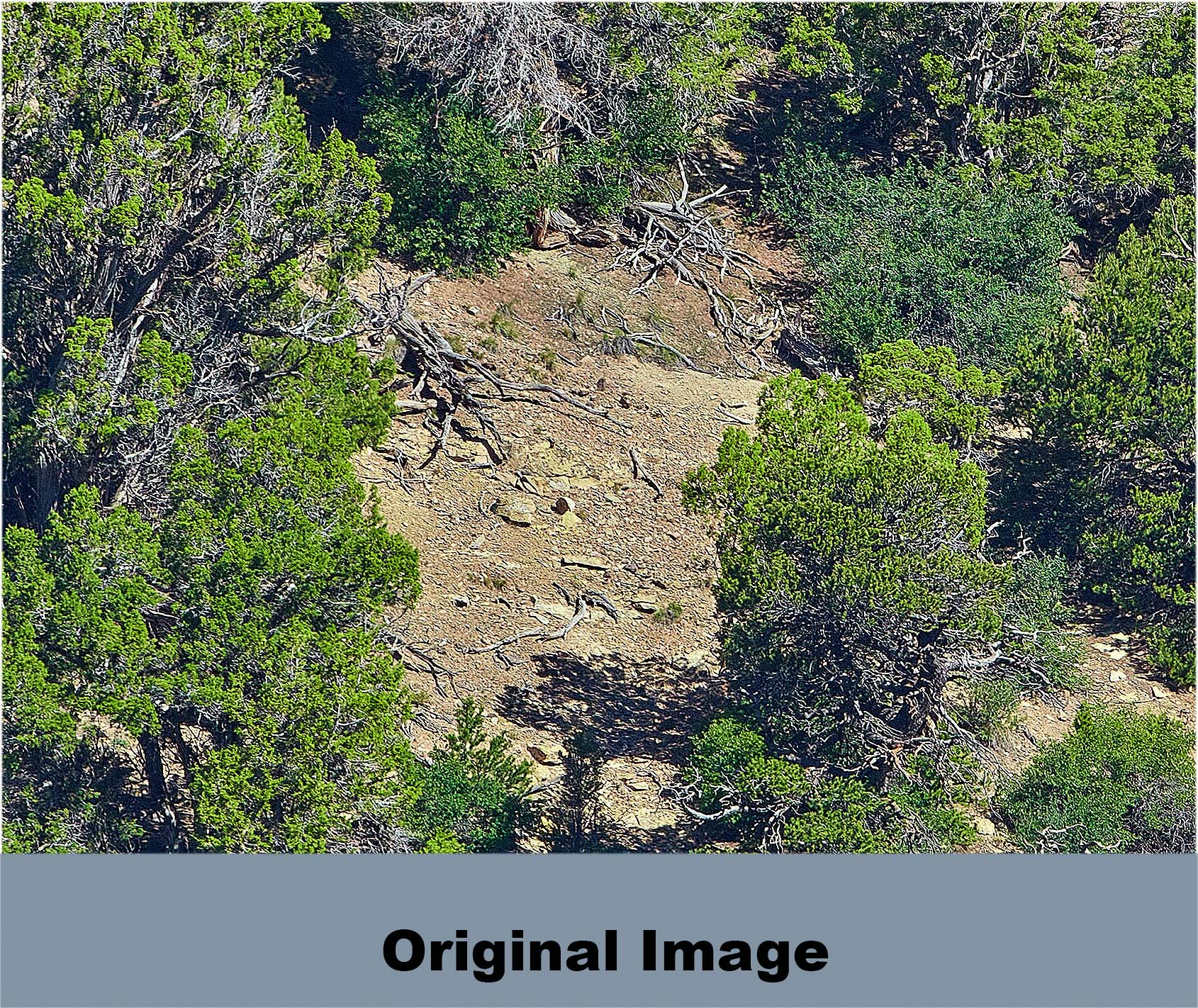 Solved: Reference object/image in generative fill for new ... - Adobe Product Community - 15291198