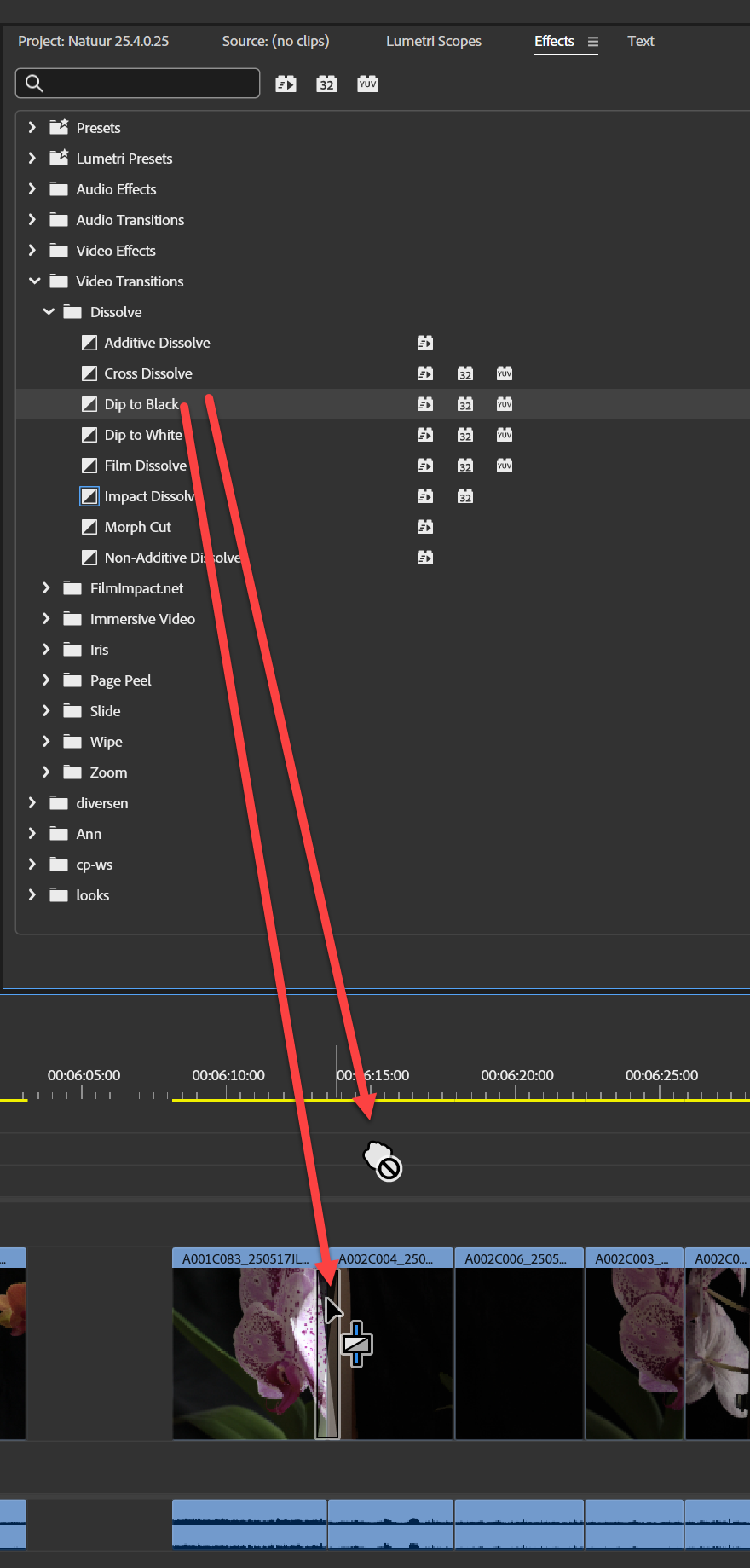 Transition unavailable/greyed out? - Adobe Community - 15318877