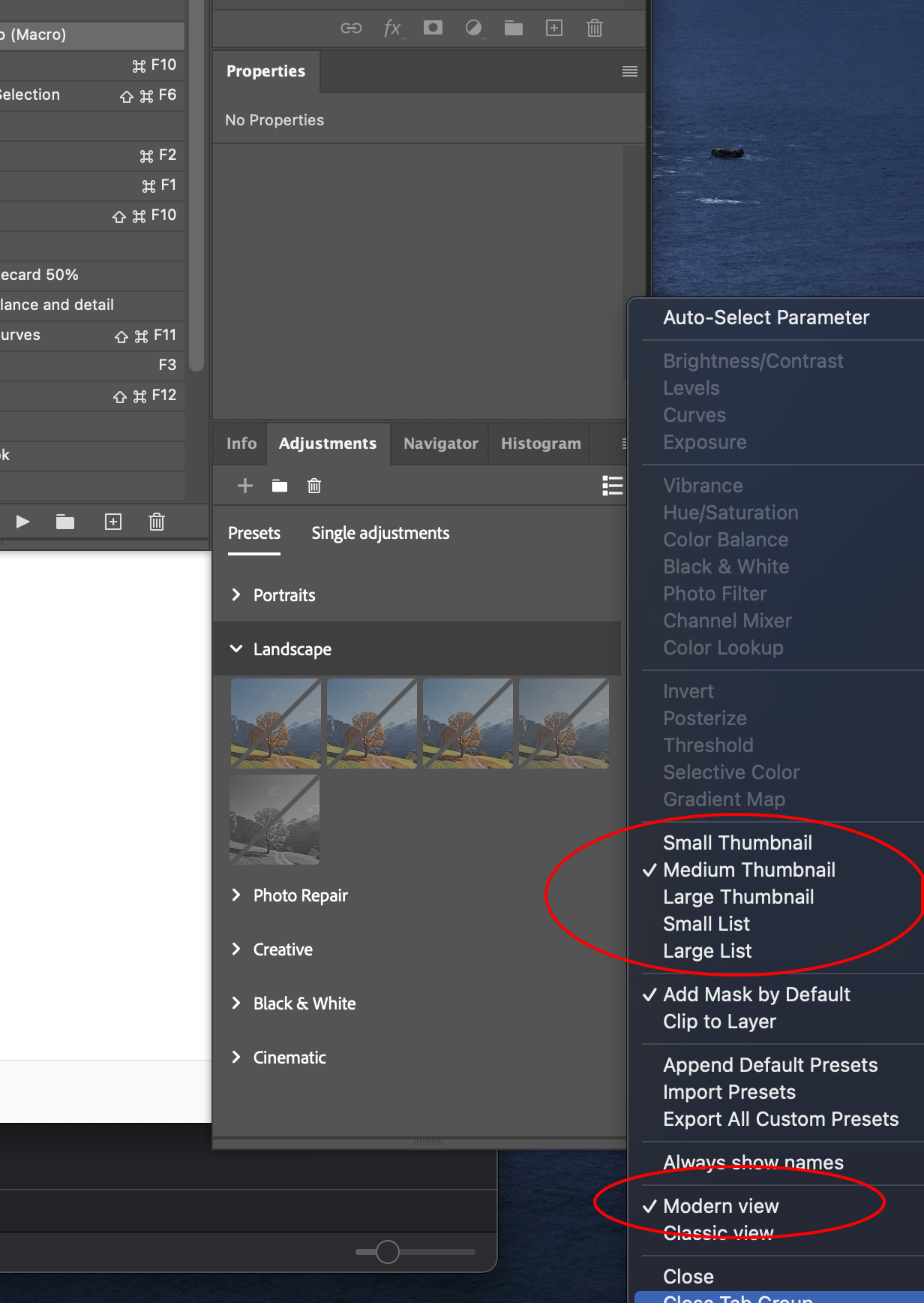 PS 26.7 adjustment panel in modern all views are l... - Adobe Product ...