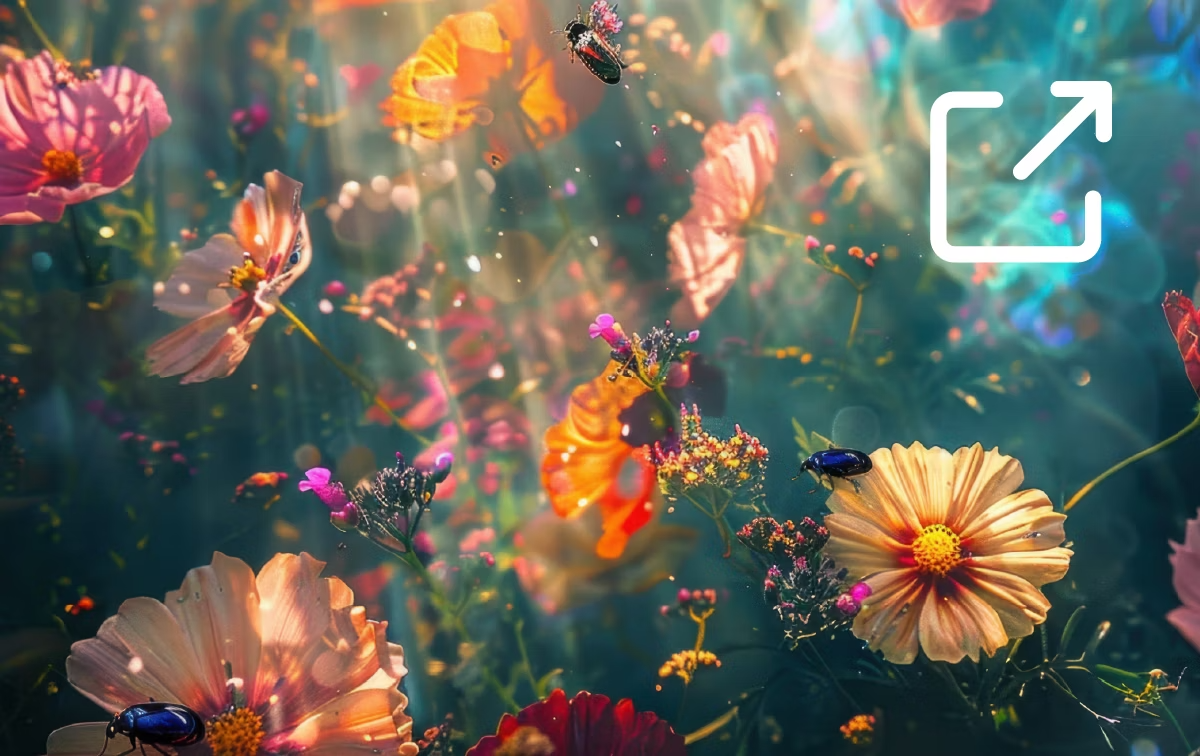 After Effects 25.3 is now available to download! - Adobe Product ...