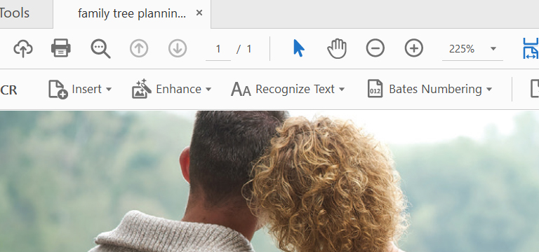 Basic Acrobat editing - Adobe Product Community - 11068611