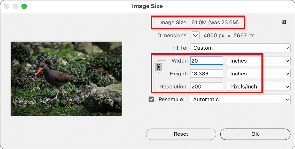 Solved: DNG export to jpeg - Adobe Product Community - 15385113