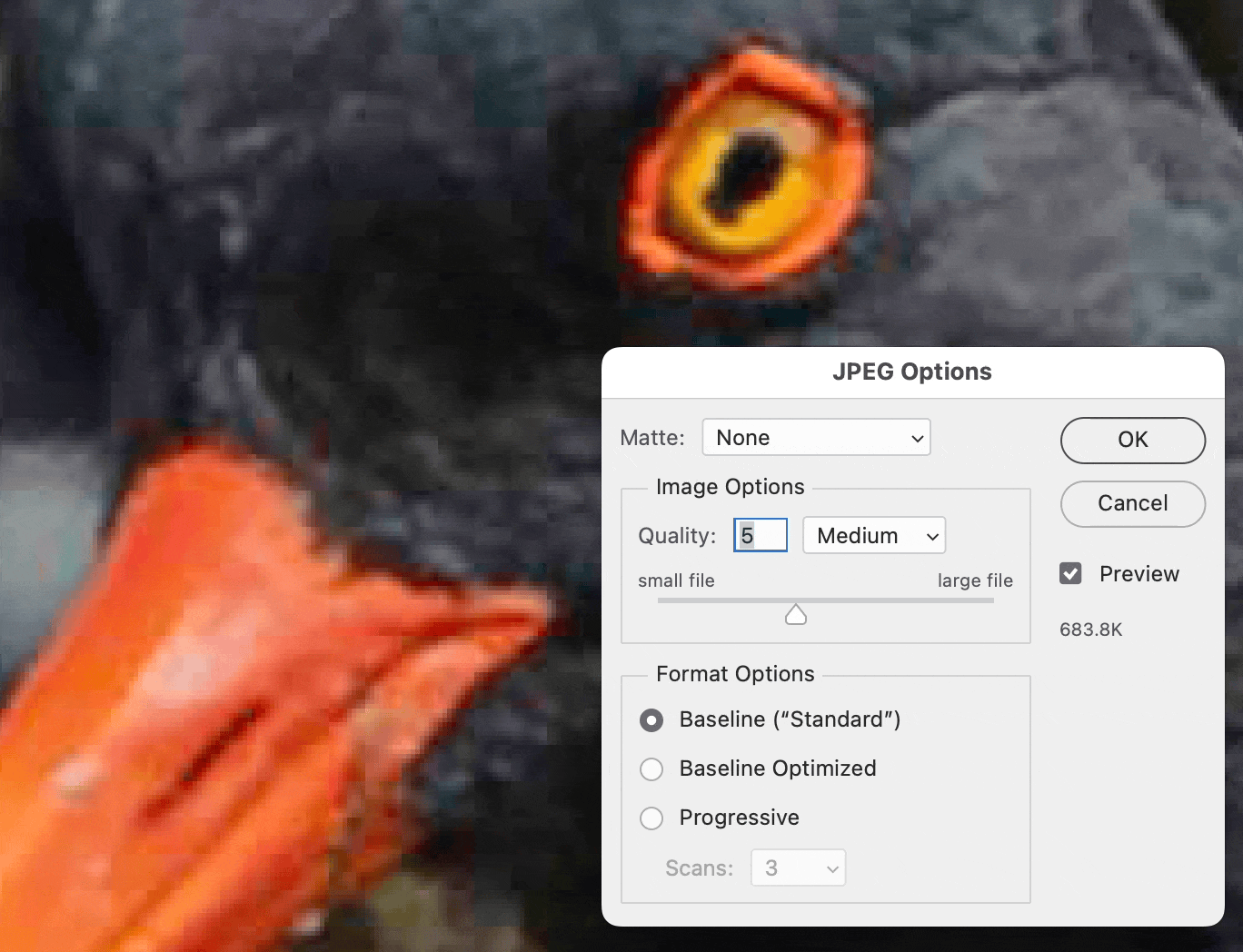 Solved: DNG export to jpeg - Adobe Product Community - 15385113