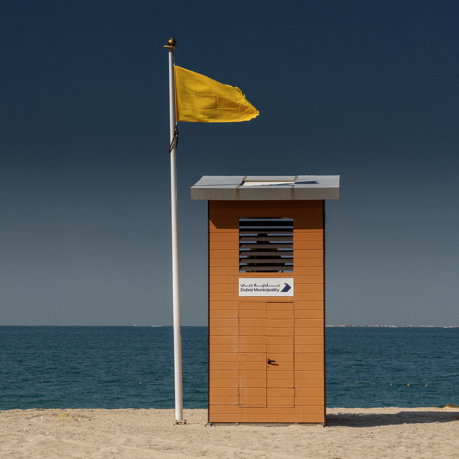 P: Introducing the Project Indigo camera app - Adobe Product Community ...