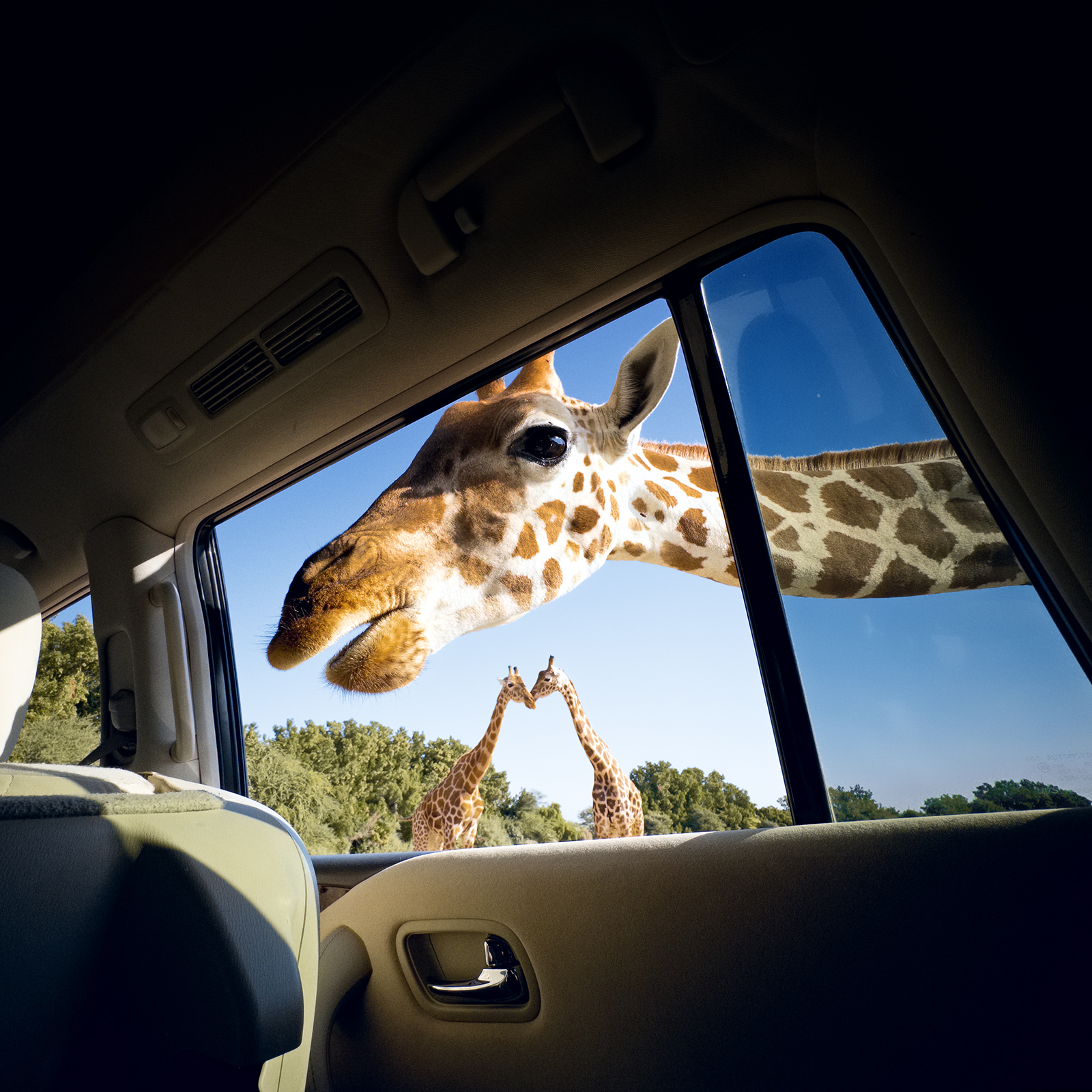 P: Introducing the Project Indigo camera app - Adobe Product Community ...