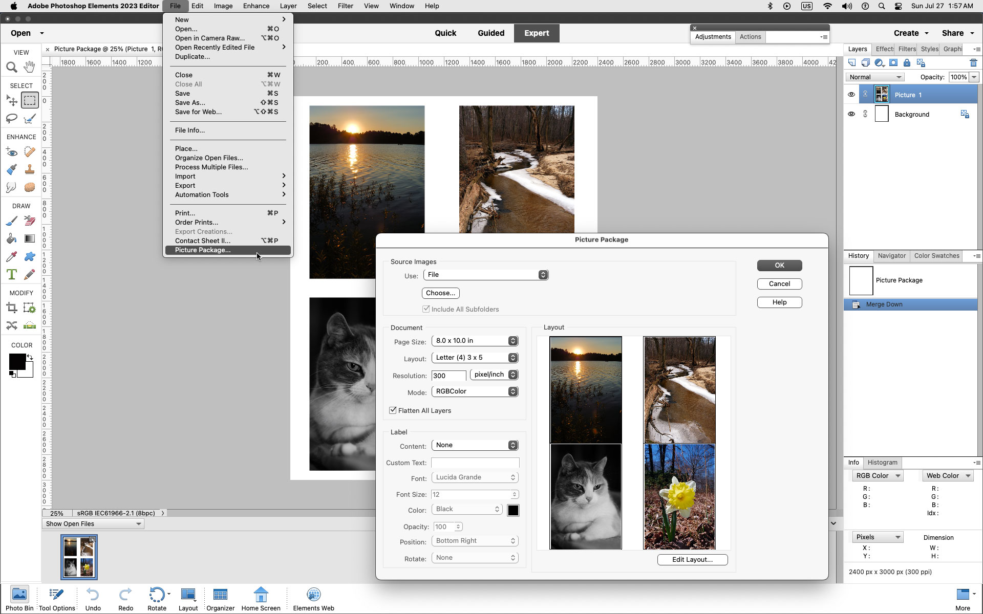Re: Picture PAckage editing layout issues - Adobe Product Community - 14651461