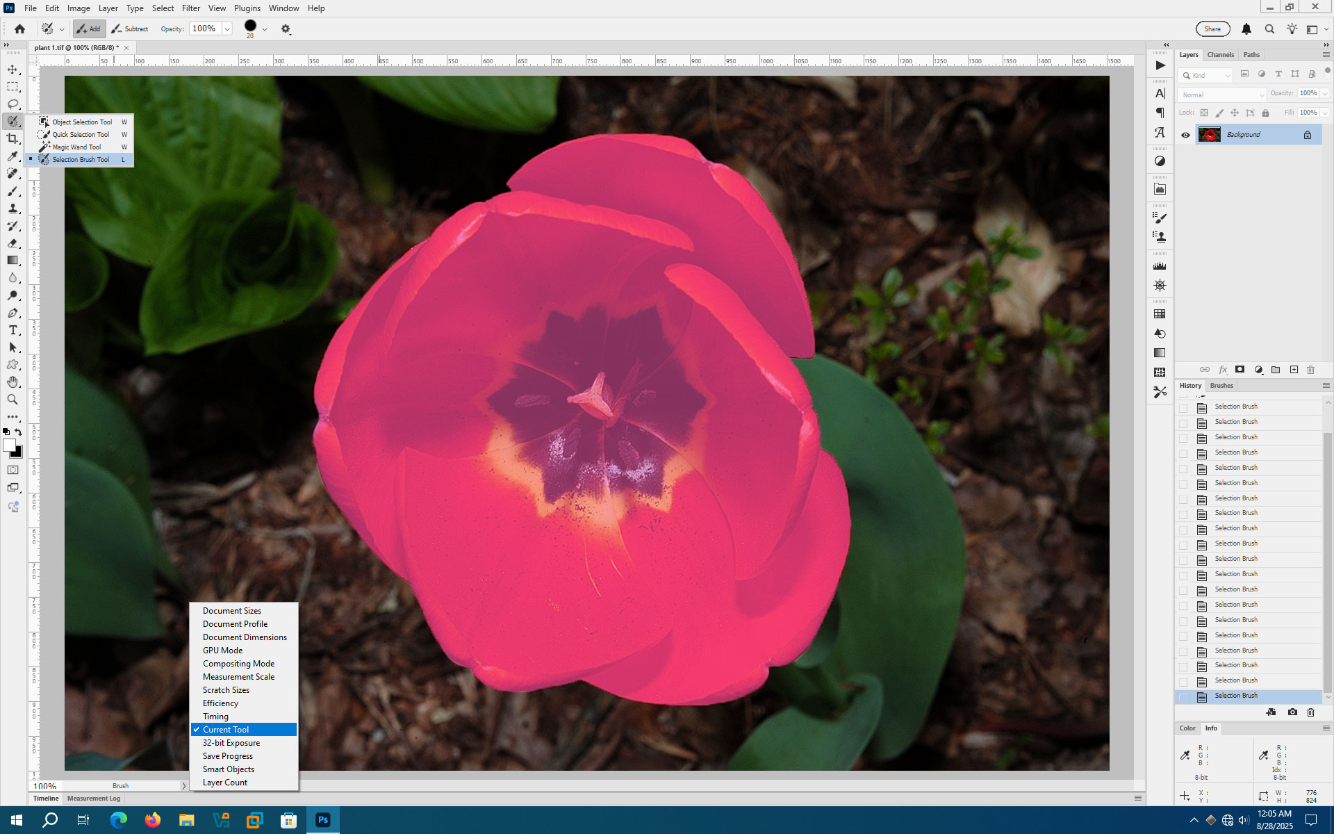 P: Photoshop Selection Brush tool appears as Brush... - Adobe Product ...