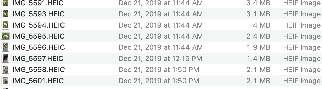 HEIF files from iPhone - Adobe Product Community - 11080133
