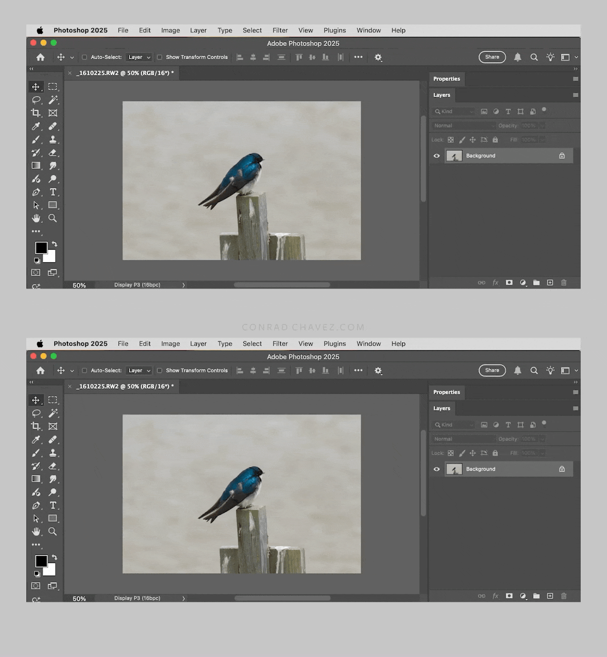 Solved: I lost the option to delete cropped pixels - Adobe Product ...