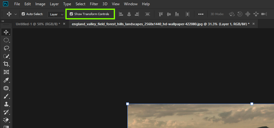 Using the move tool to transform objects - Adobe Support Community ...