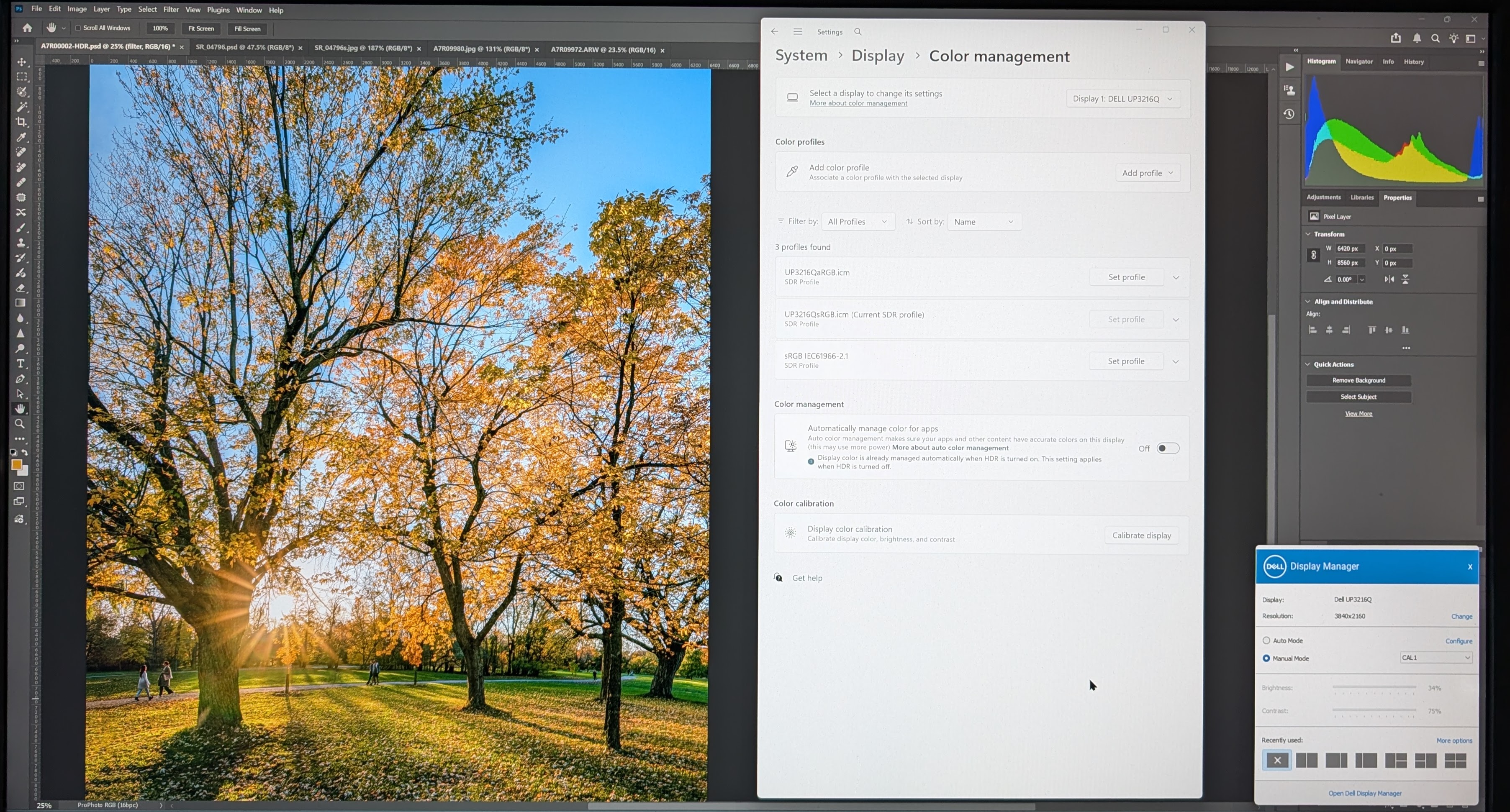 Re: Color Calibration Problem: Photoshop, Windows ... - Adobe Product ...