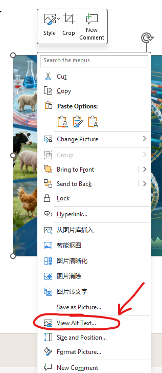 Solved: How to Turn Off Grey Popups When Hovering Over Ima... - Adobe ...