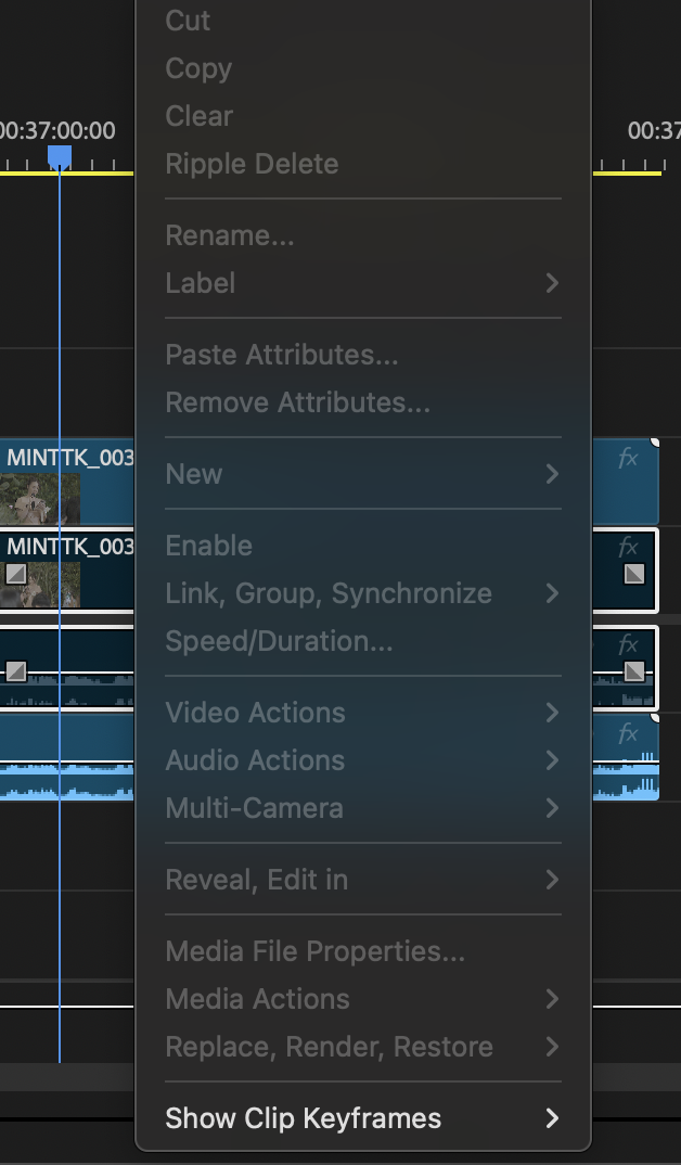 Timeline problem (mac) - Adobe Product Community - 15631122