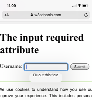 required popup on form - mobile how to style it? - Adobe Community ...