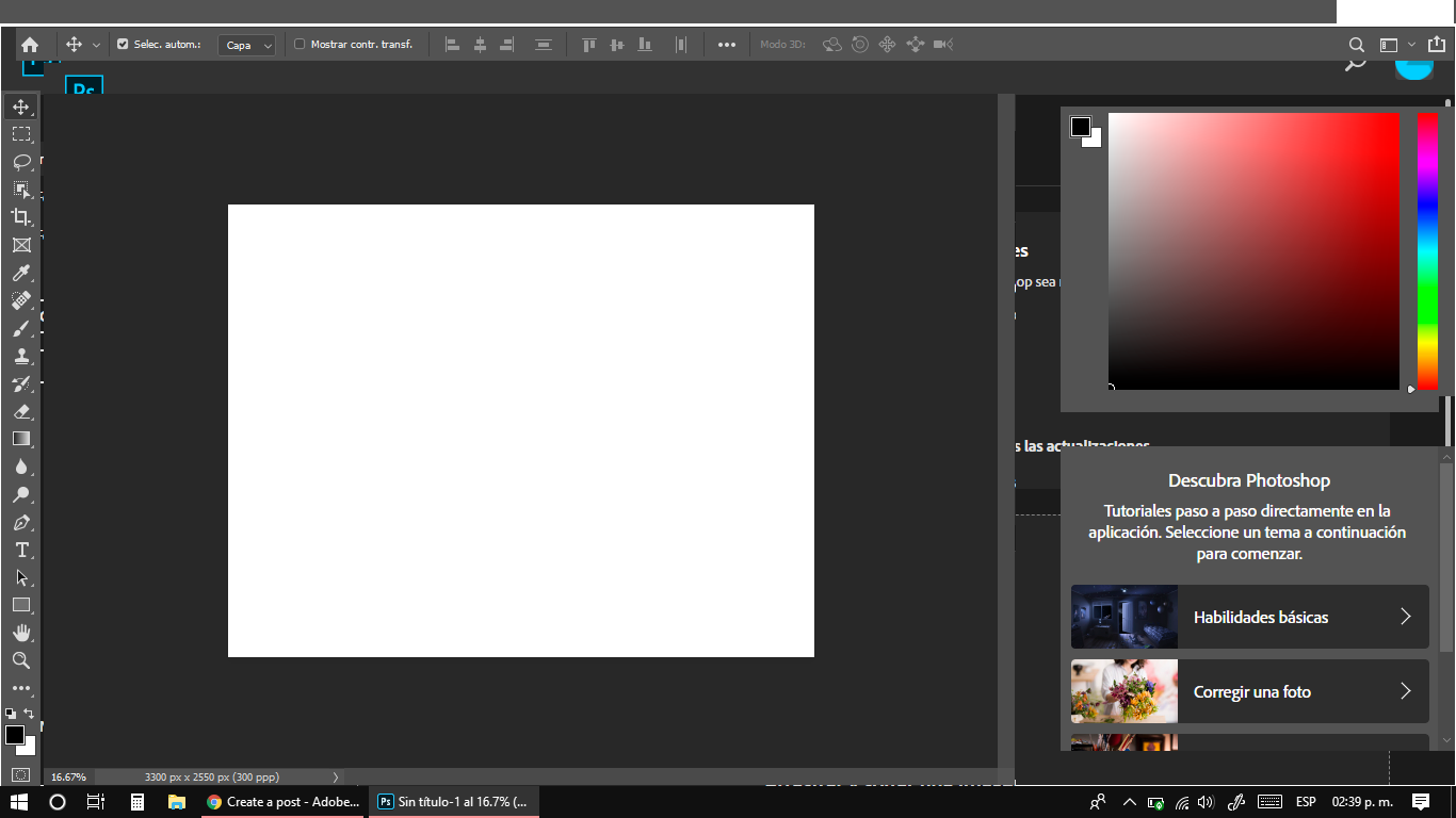 Error de visualización Photoshop 2020 - Adobe Community - 11141392
